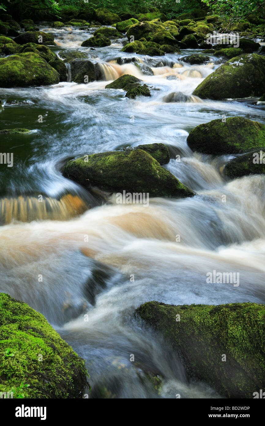 Claddagh River Ireland Stock Photo - Alamy