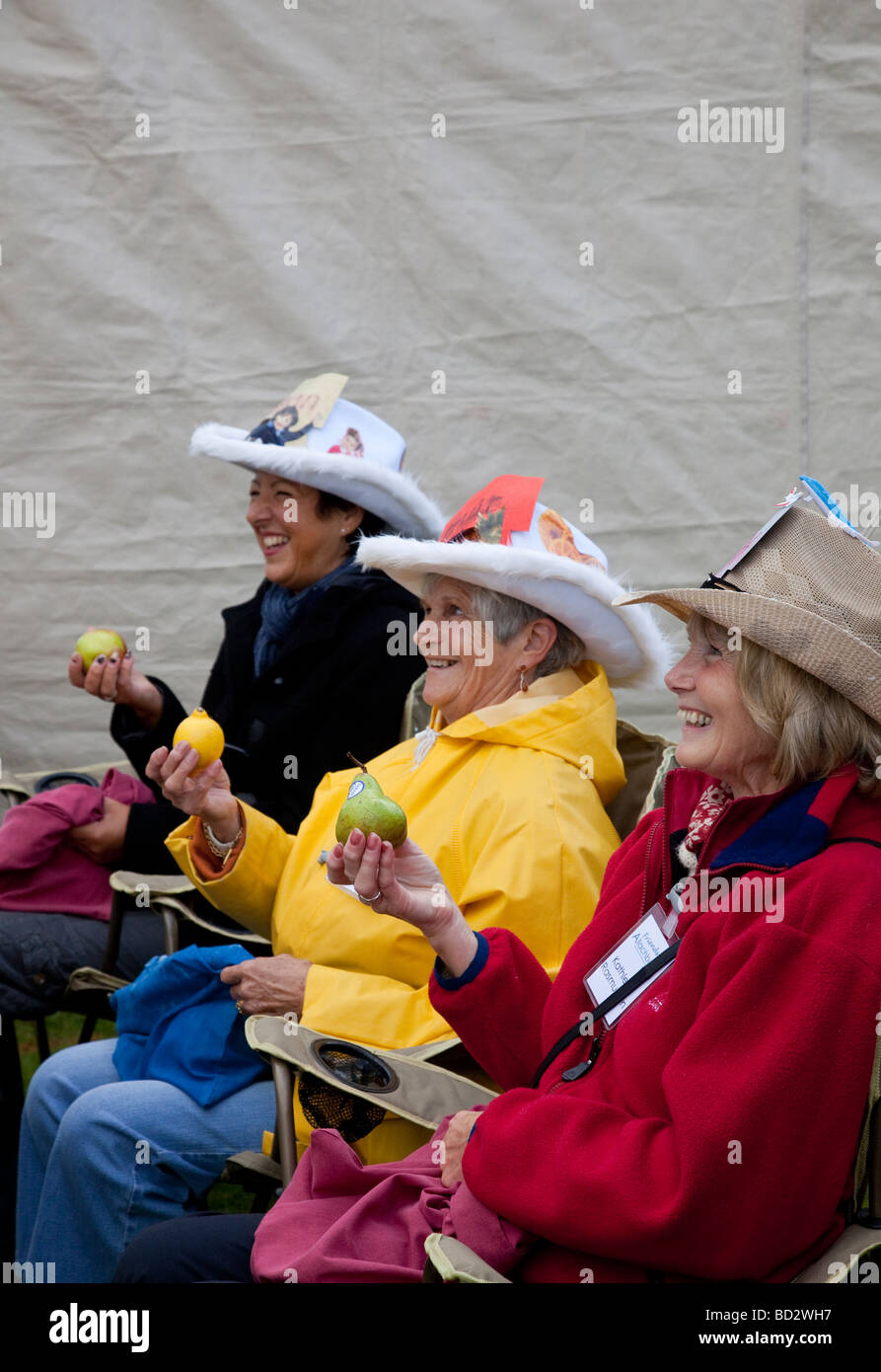Human fruit machine hi-res stock photography and images - Alamy