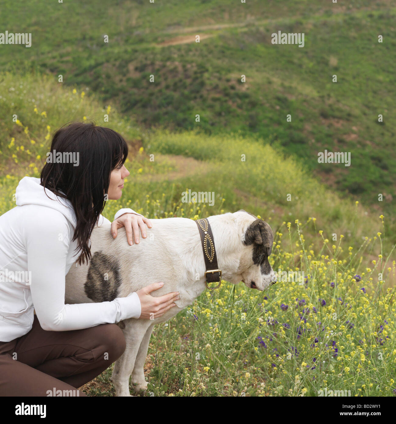 Woman and dog on trail hi-res stock photography and images - Alamy