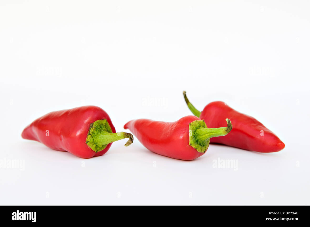 Studio shot of three red chillies lying down taken on a white ...