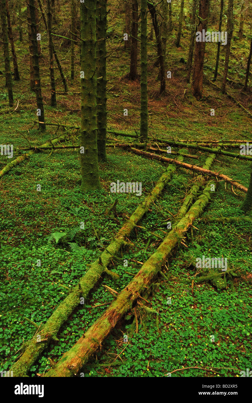 Benderloch hi-res stock photography and images - Alamy