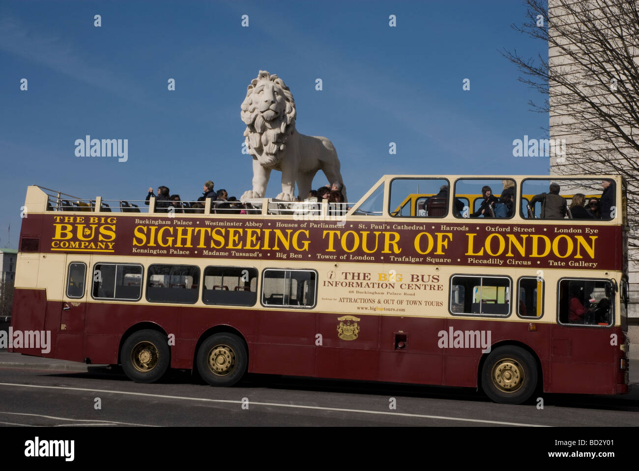 Central London tourist sightseeing buses with a lion statue that ...