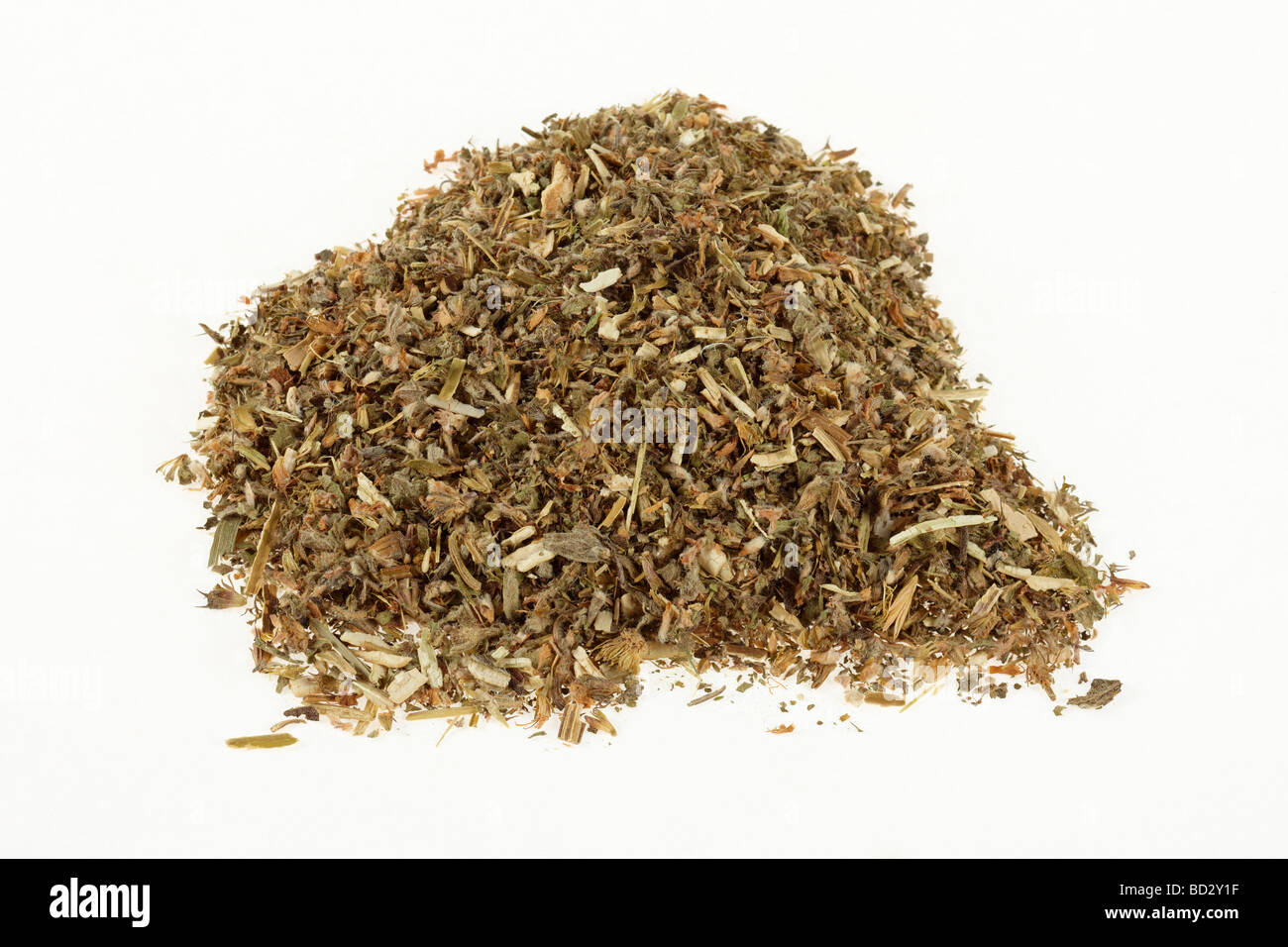 Leonuri herba Cut Out Stock Images & Pictures - Alamy