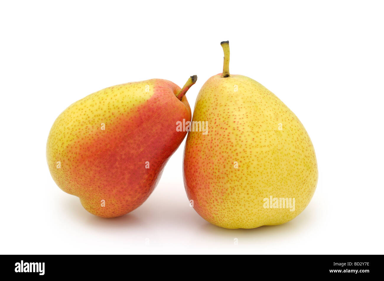 Pair of Forelle Pears Stock Photo - Alamy