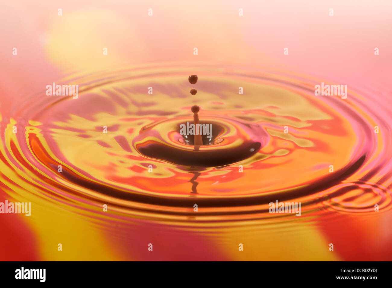 Milk drops fall on the milk surface Stock Photo - Alamy