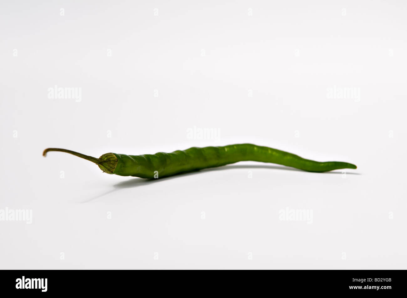 Studio picture of single green chilli against a white background Stock ...