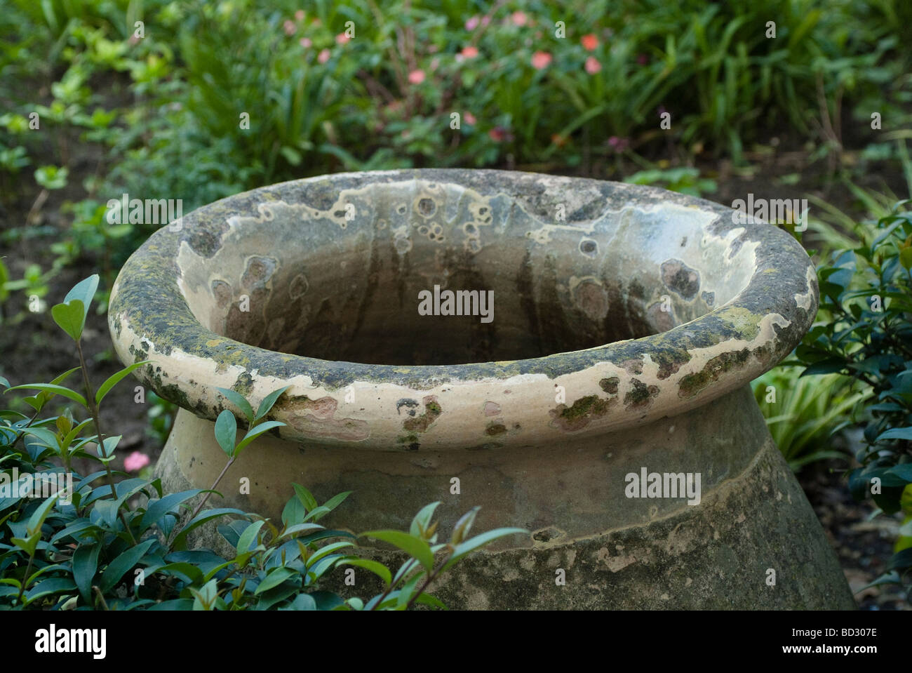 Tangier morocco garden hi-res stock photography and images - Alamy