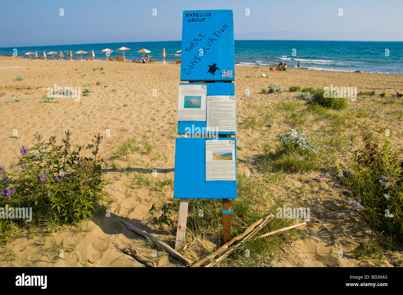 Turtle signs hi-res stock photography and images - Alamy