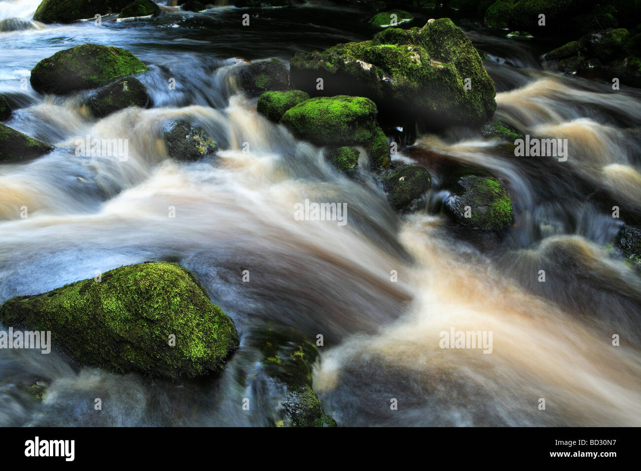 Close up of water flowing by moss covered rocks Stock Photo - Alamy
