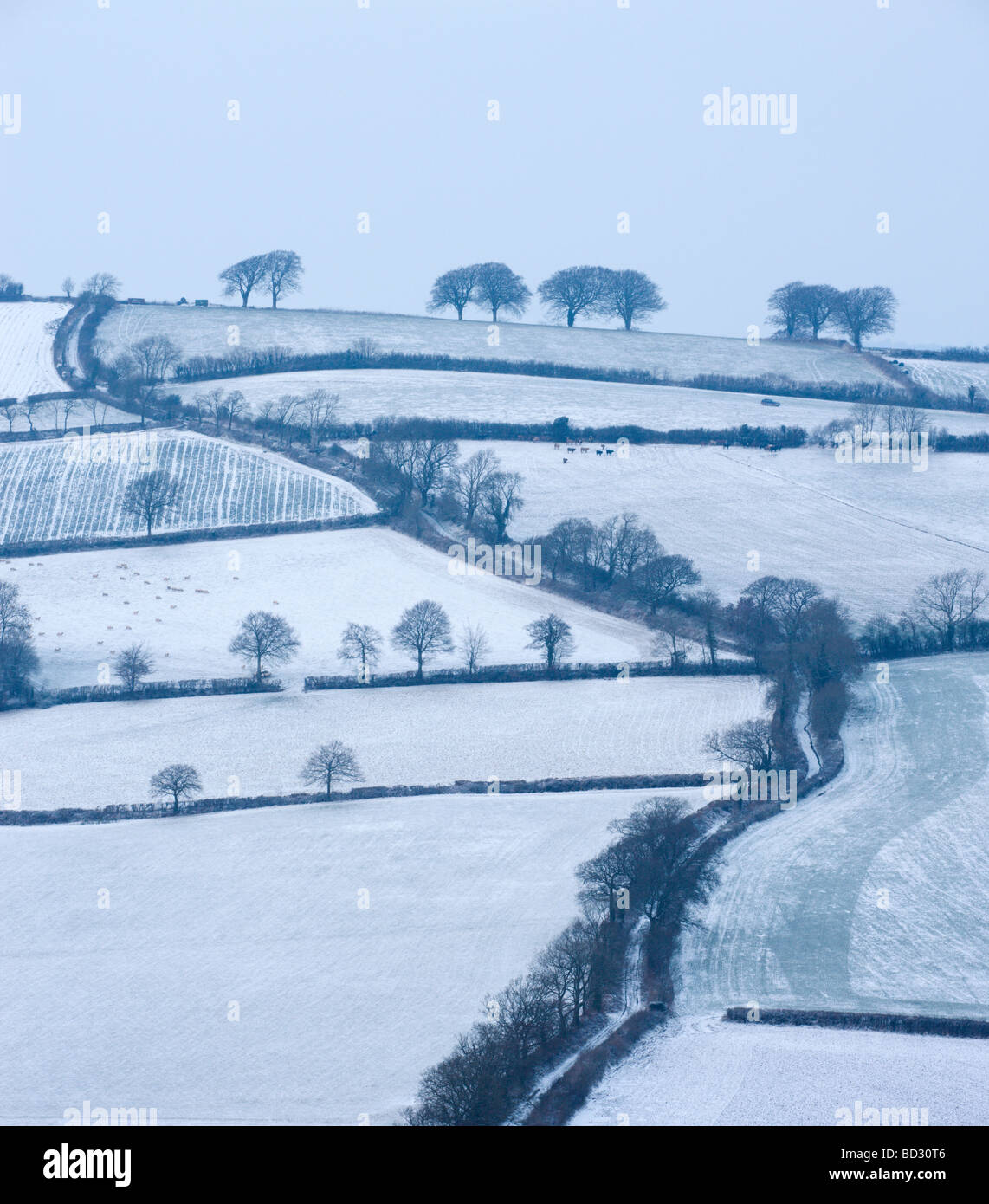 Winter hi-res stock photography and images - Alamy