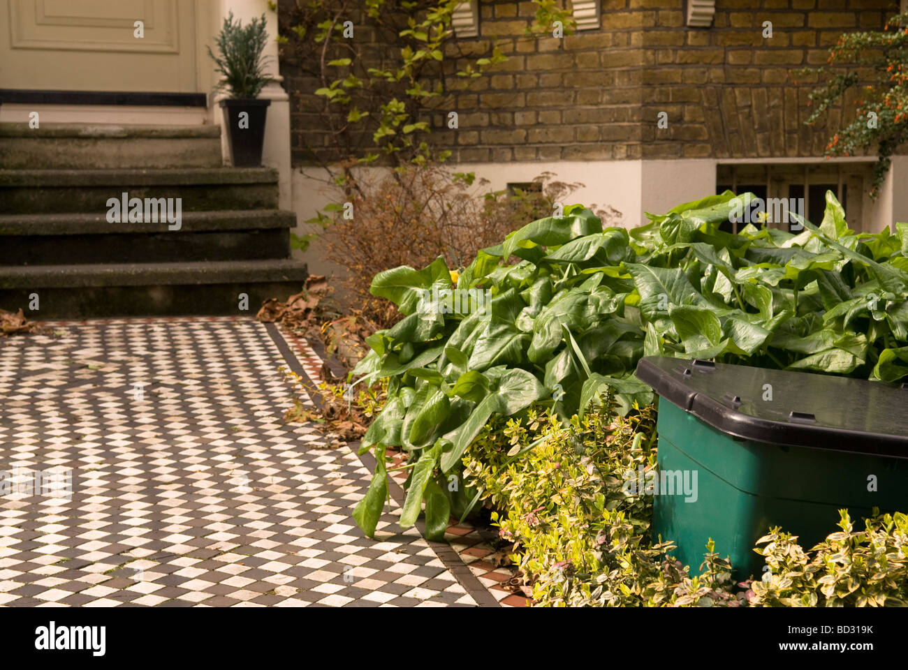 Recycling bin in pathway to house Stock Photo - Alamy
