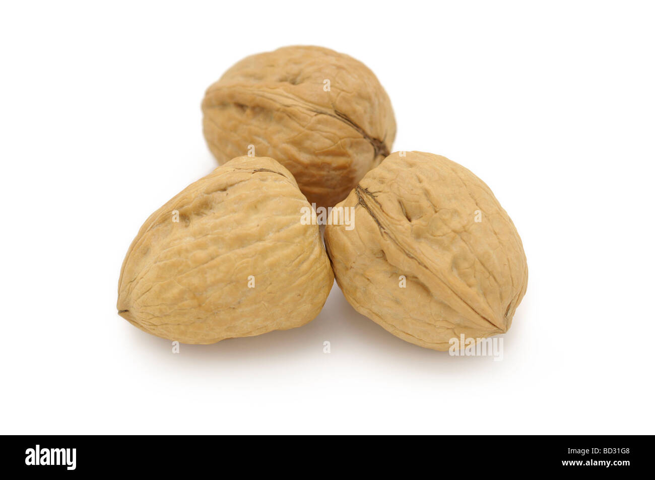 Walnut whole hi-res stock photography and images - Alamy