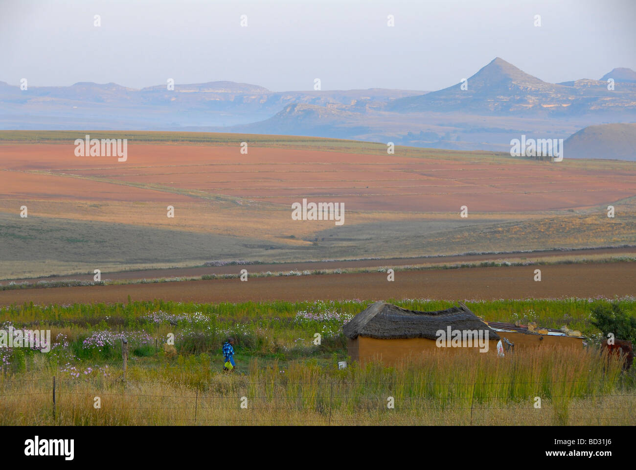 Basotho hi-res stock photography and images - Alamy
