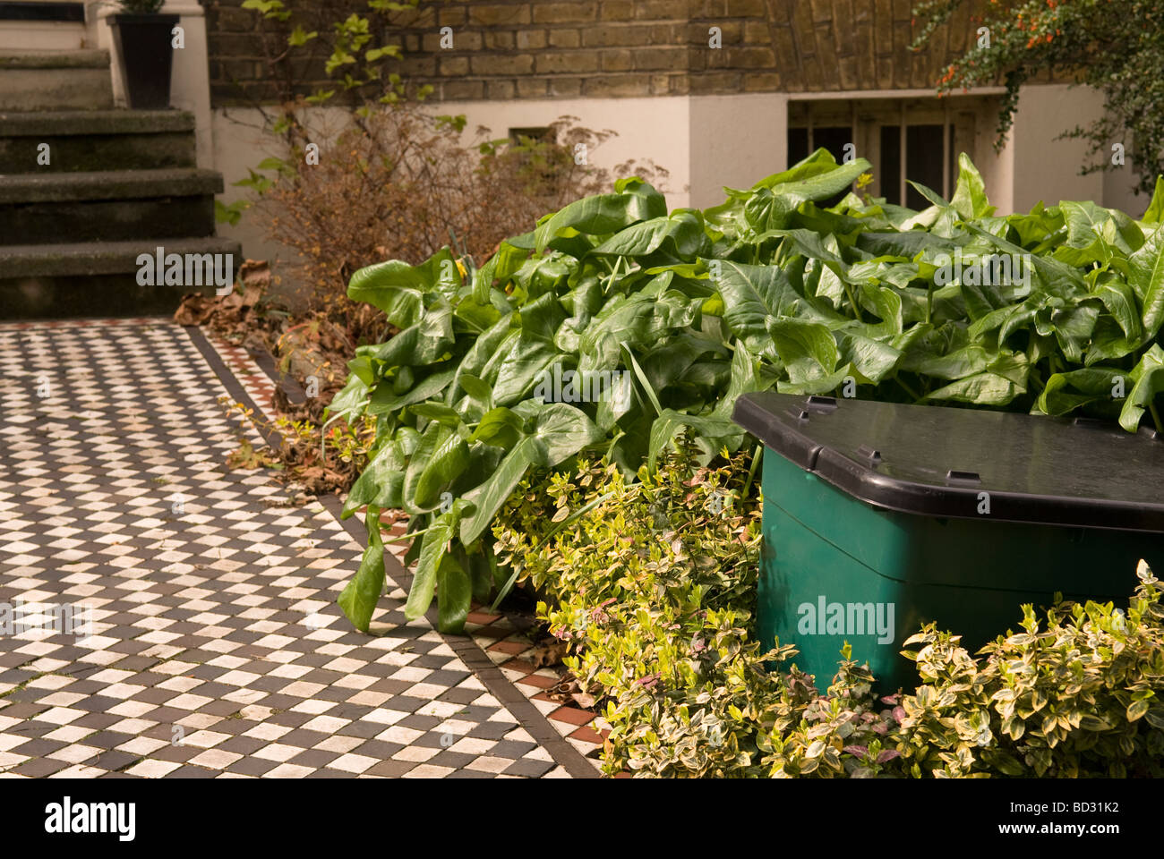 Recycling bin in pathway to house Stock Photo - Alamy