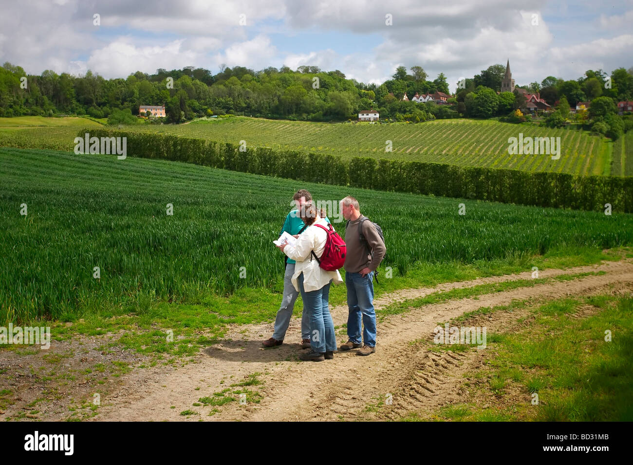 reading the map in the countryside checking the map Kent UK Stock Photo ...