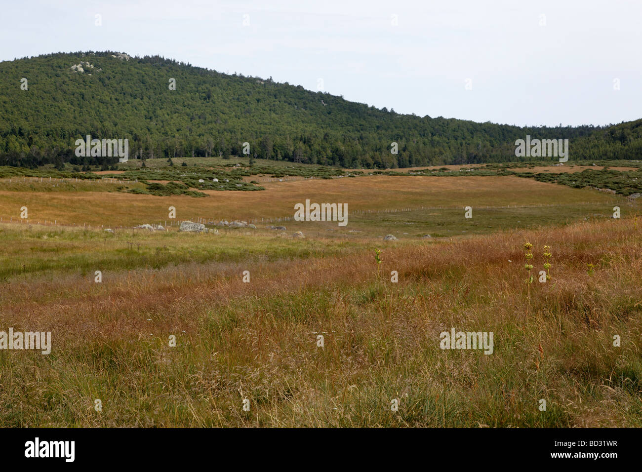 Cevennes mountain hi-res stock photography and images - Alamy