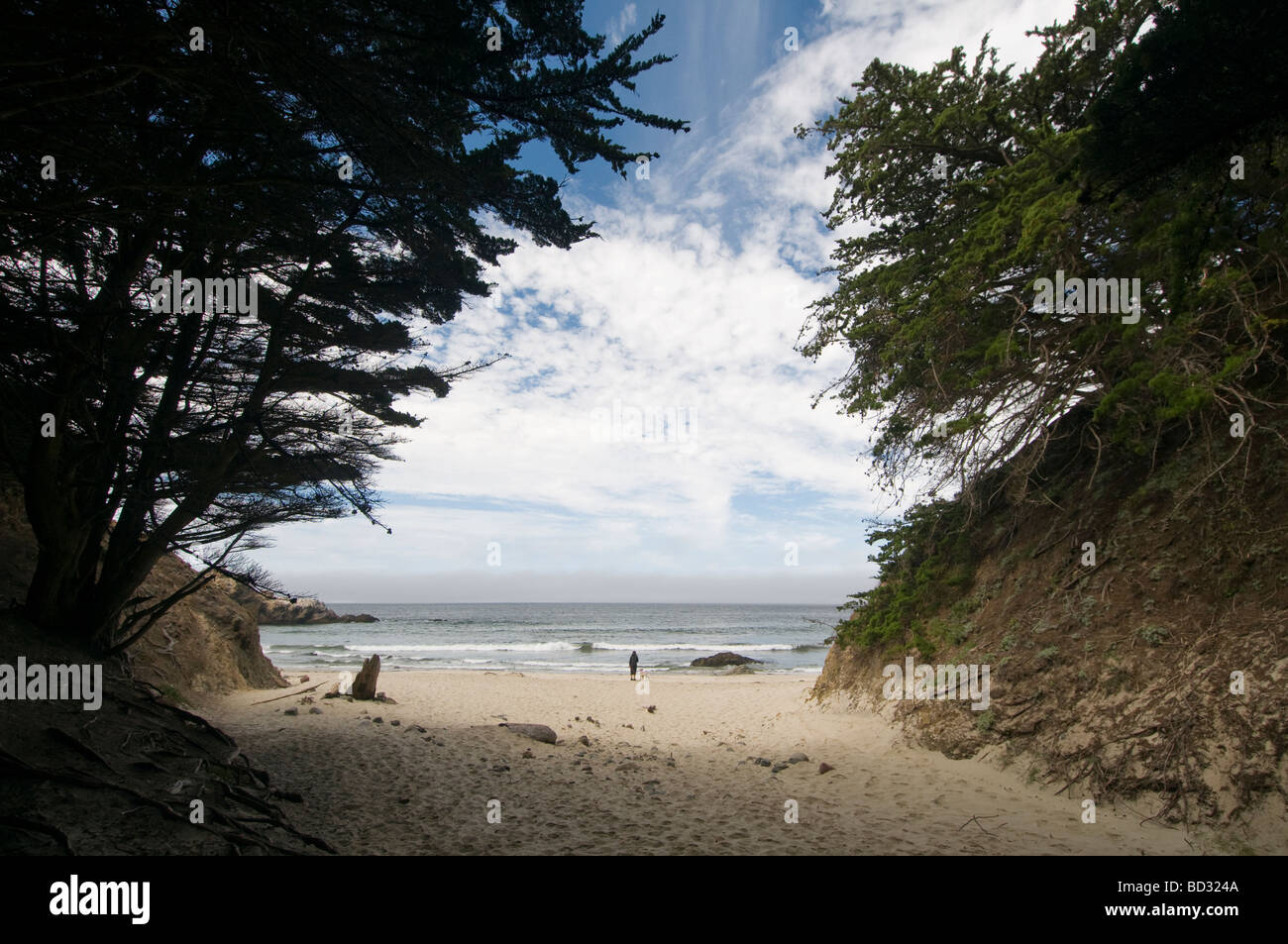 Pfeiffer State Beach Big Sur California Stock Photo - Alamy