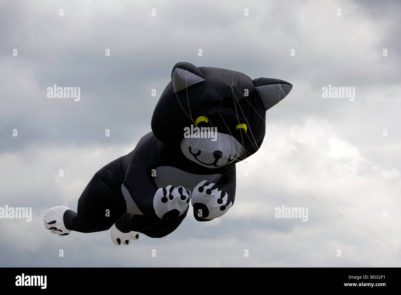 Black cat kite hi-res stock photography and images - Alamy