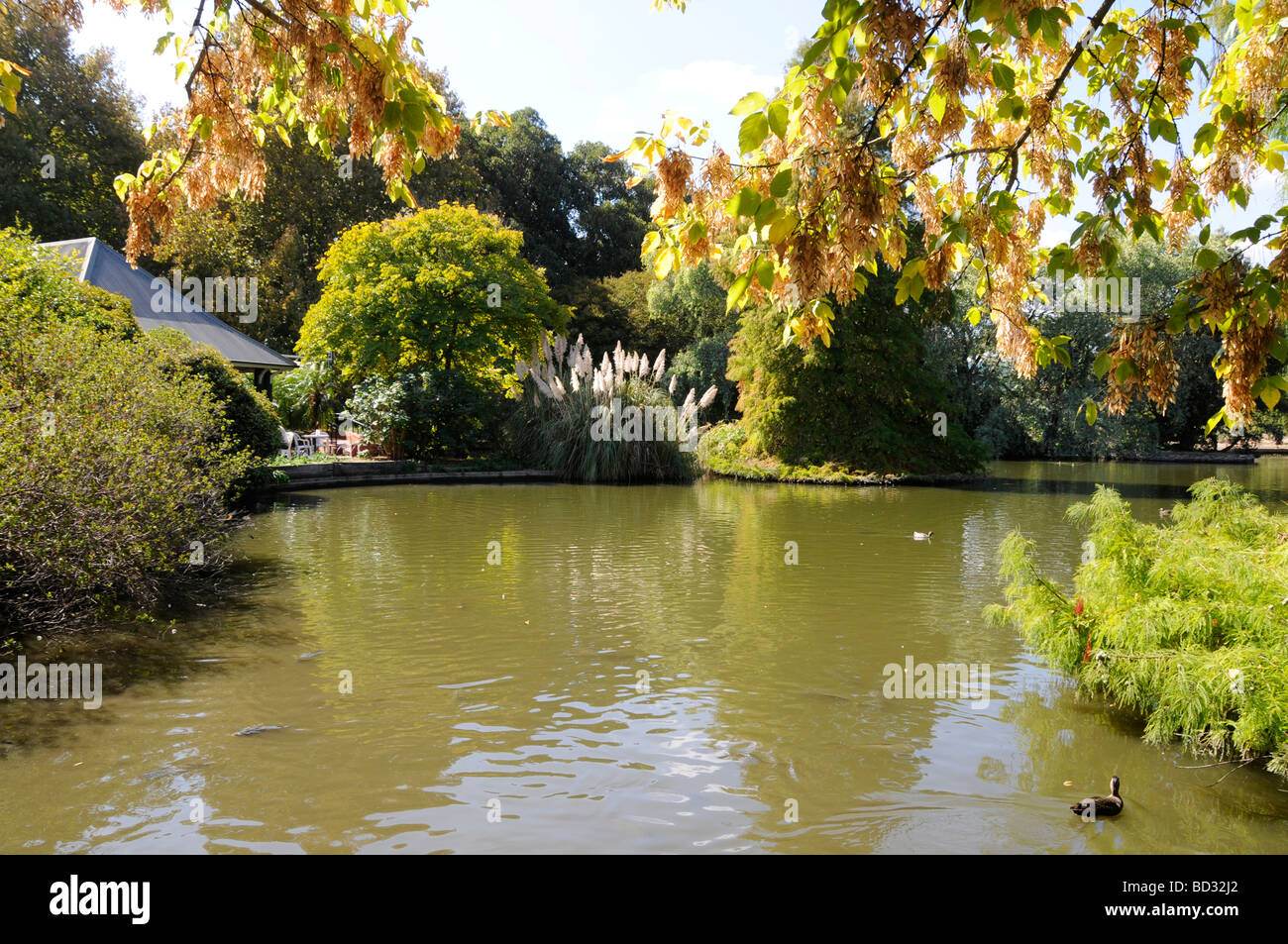 Adelaide botanic park hi-res stock photography and images - Alamy