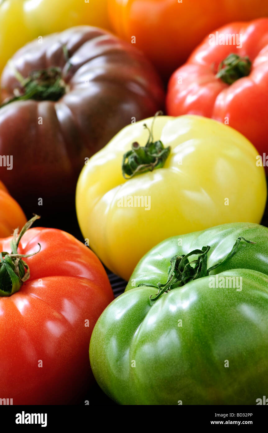 Multicoloured tomatoes hi-res stock photography and images - Alamy