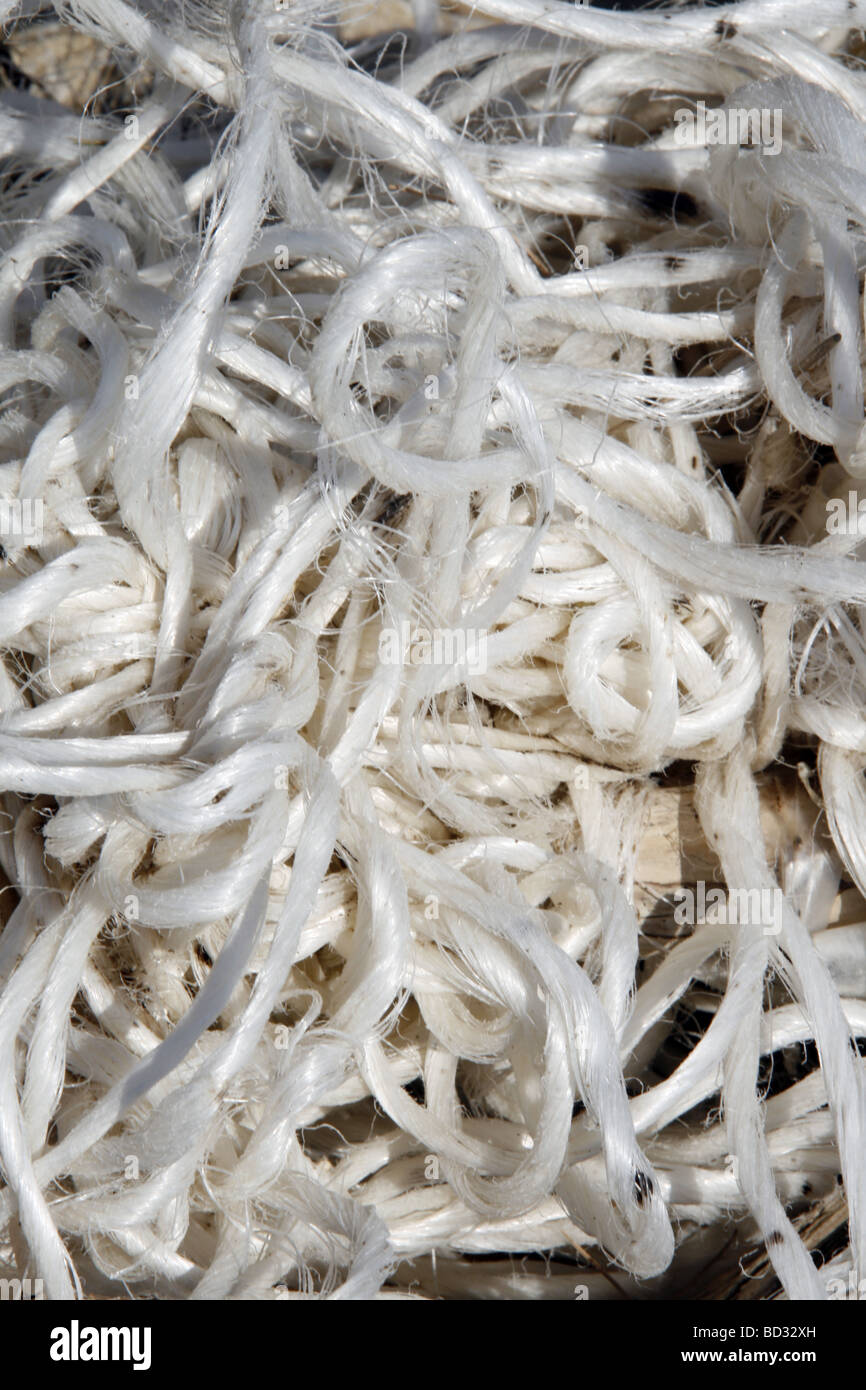 bundle of tangled white plastic string rope Stock Photo - Alamy