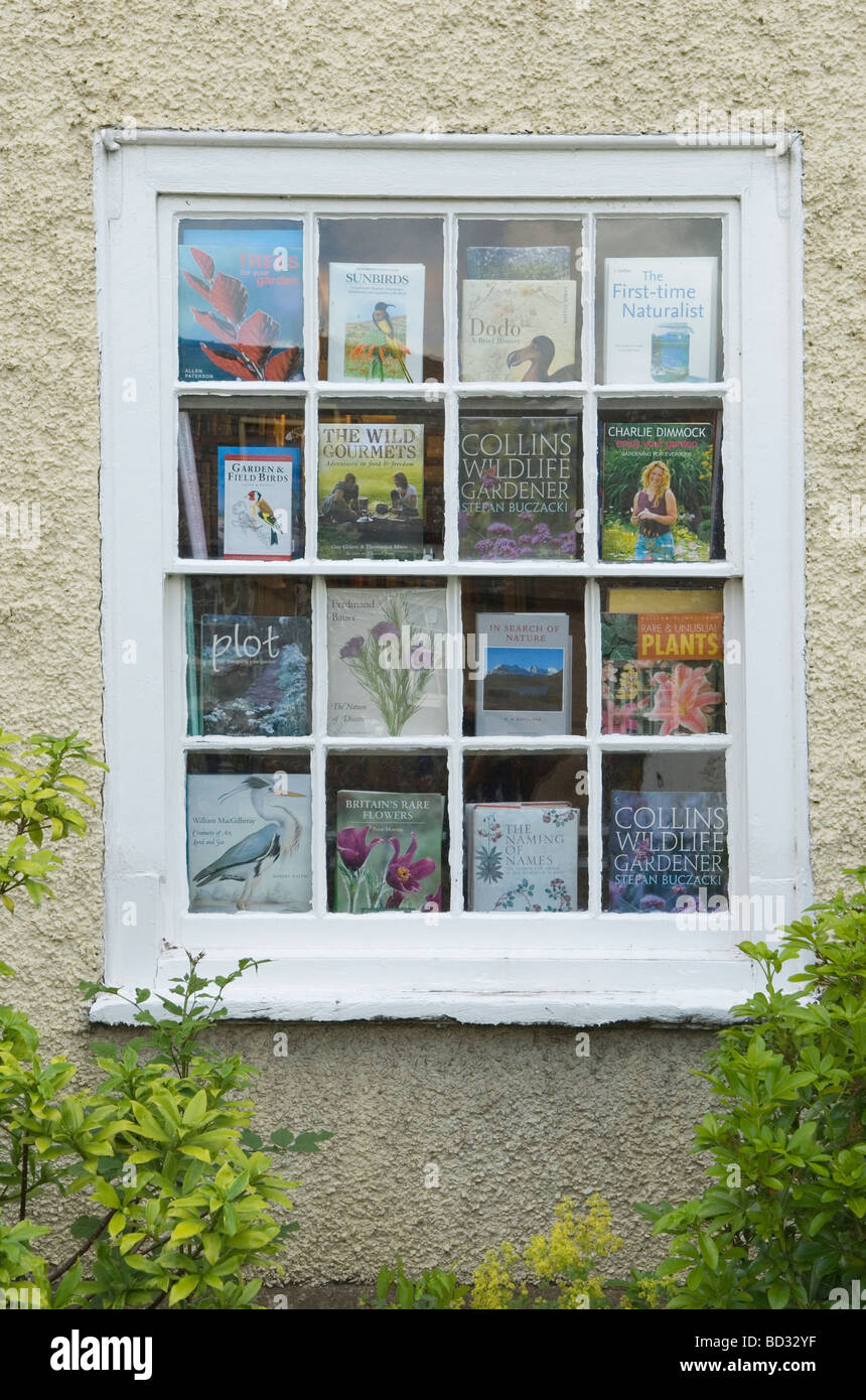 Books displayed hi-res stock photography and images - Alamy