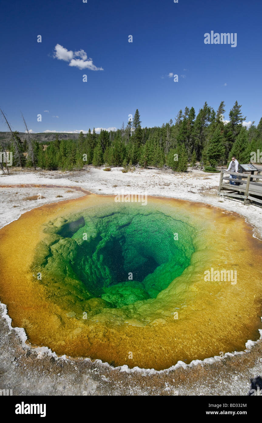 Morning Glory Pool Yellowstone National Park Wyoming USA MR Stock Photo ...