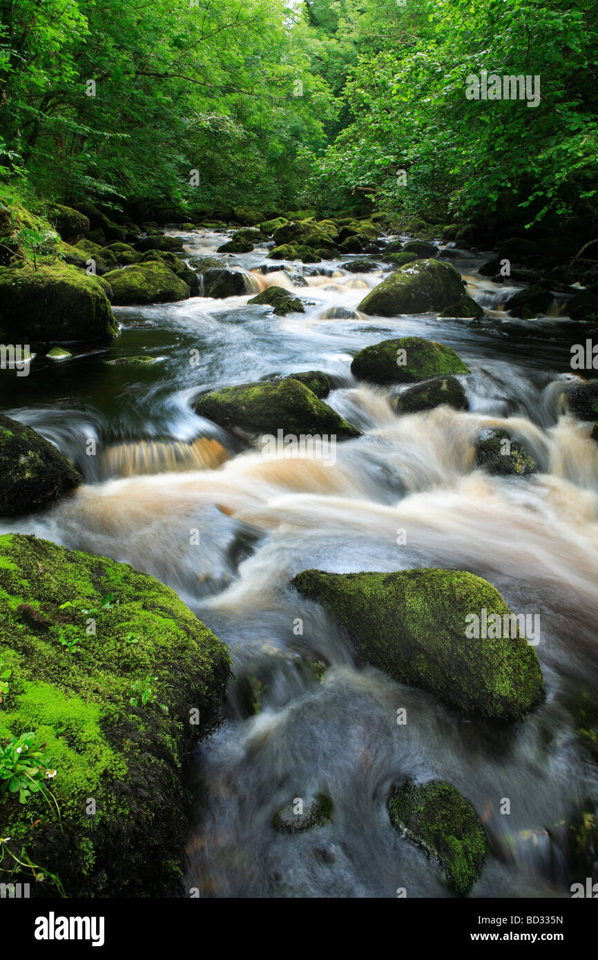 Claddagh River Ireland Stock Photo - Alamy