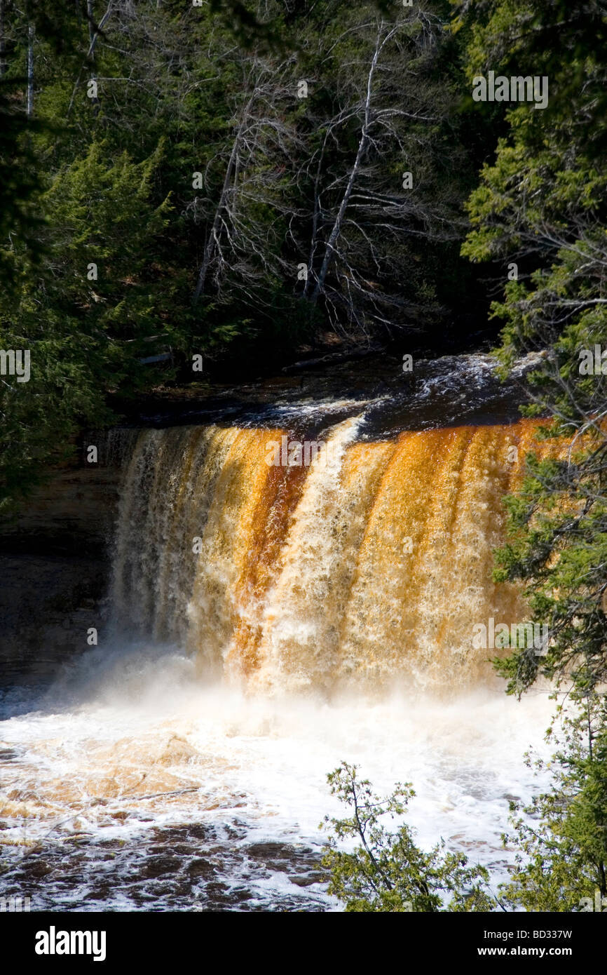 Upper Tahquamenon Falls on the Tahquamenon River in the eastern Upper ...