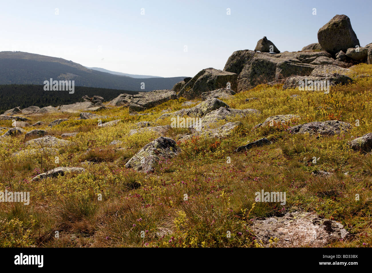 Paysage cevennes hi-res stock photography and images - Alamy
