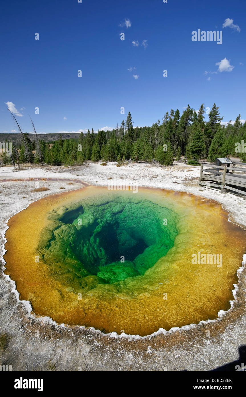 Morning Glory Pool Yellowstone National Park Wyoming USA Stock Photo ...