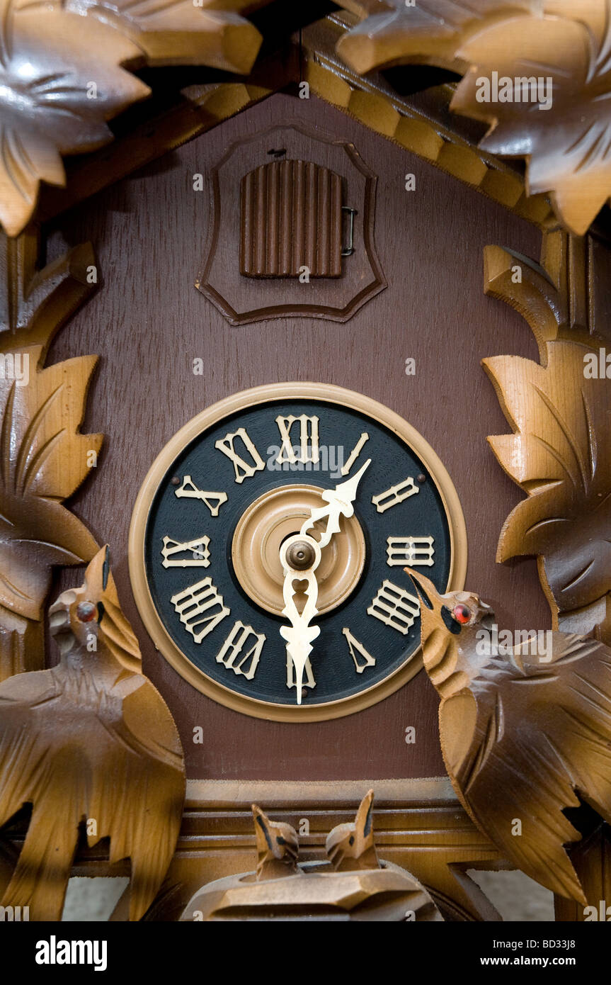 Cute cuckoo bird cartoon hi-res stock photography and images - Alamy