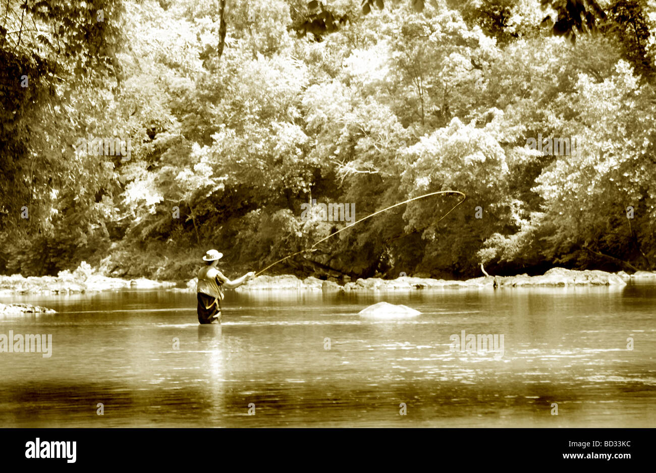 Infrared and sepia toned fly fishing in trout river Stock Photo - Alamy