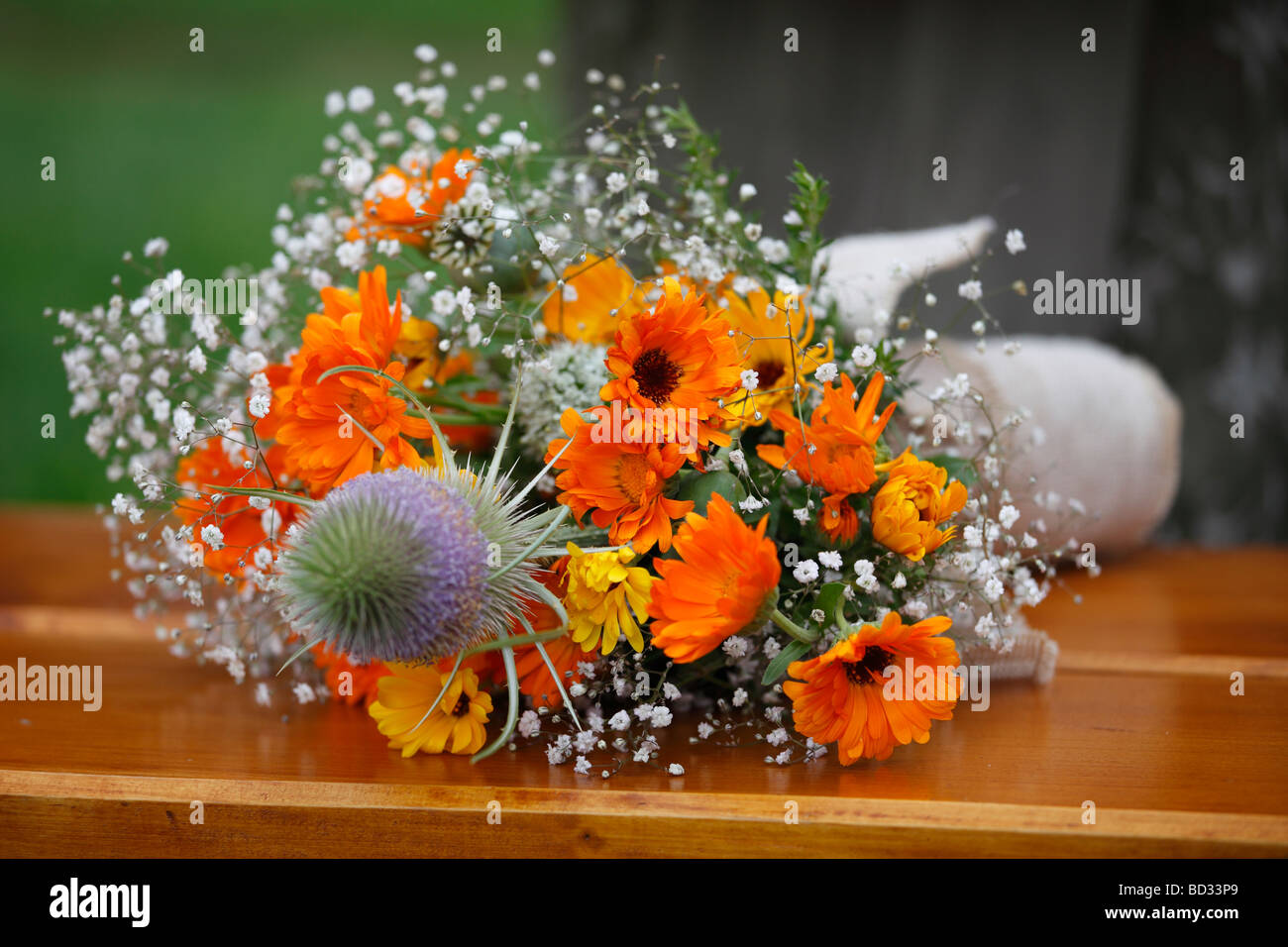 bridal bouquet; marigold (Calendula officinalis) and teasel (Dipsacus ...