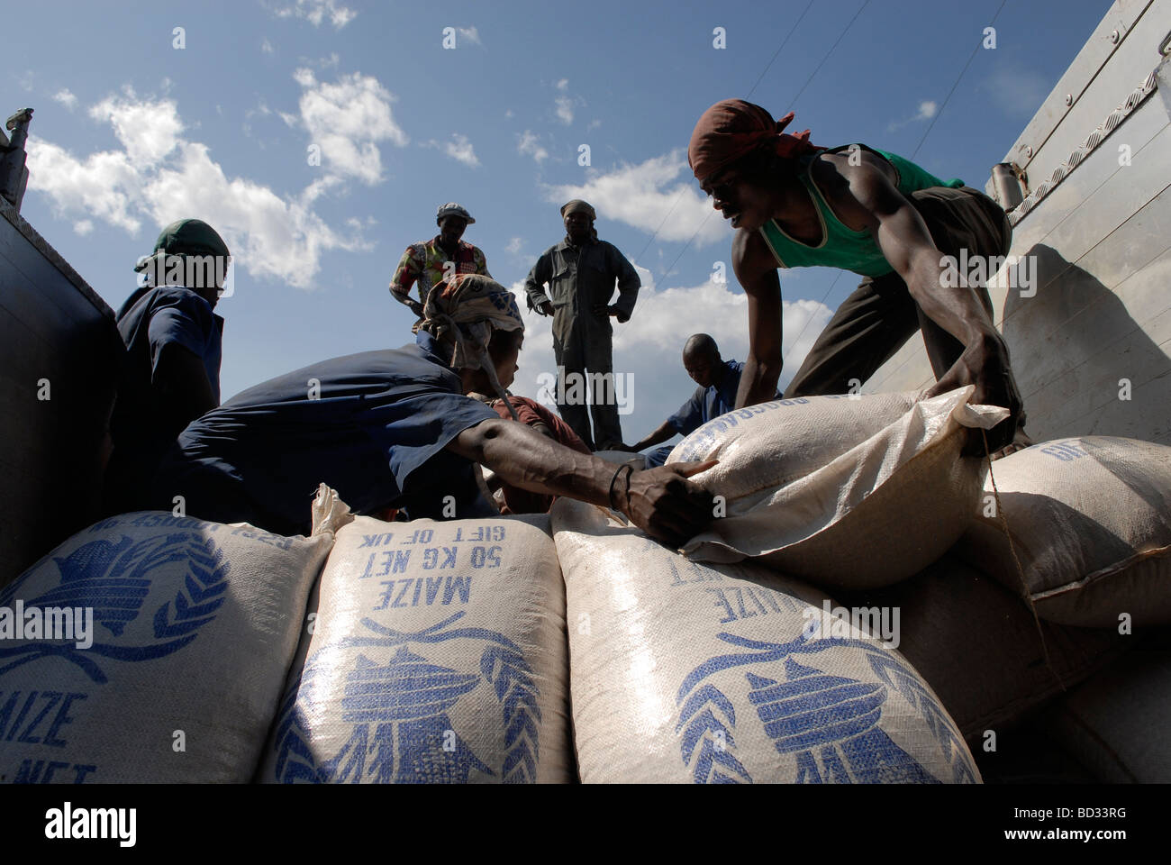 Congolese men unloading sacks of maize on a truck during food ...