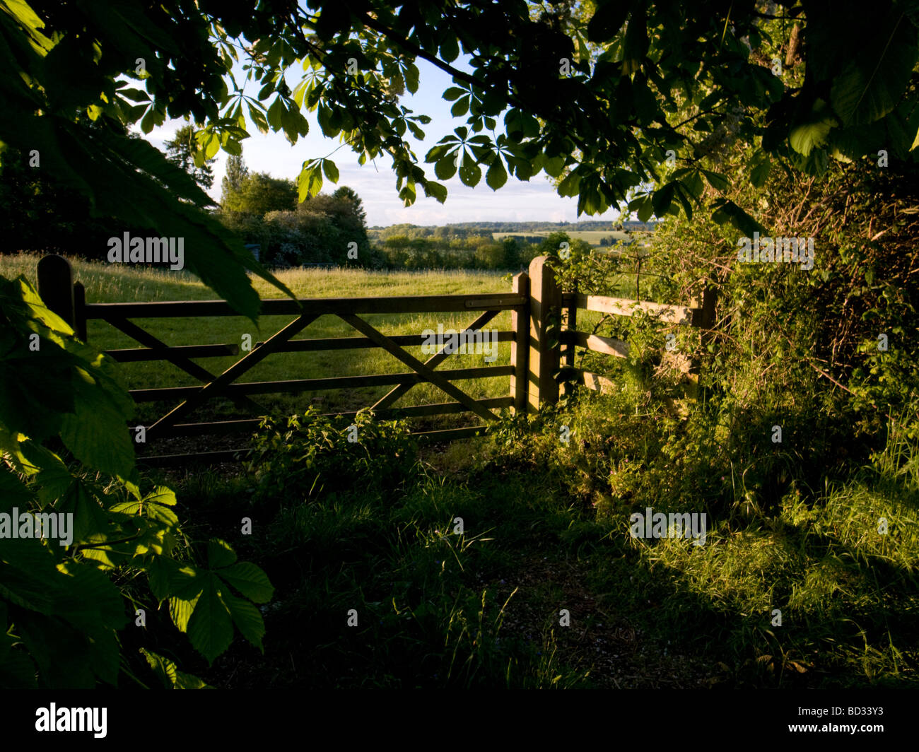 Gate to a field in classic English countryside, Oxfordshire Stock Photo ...