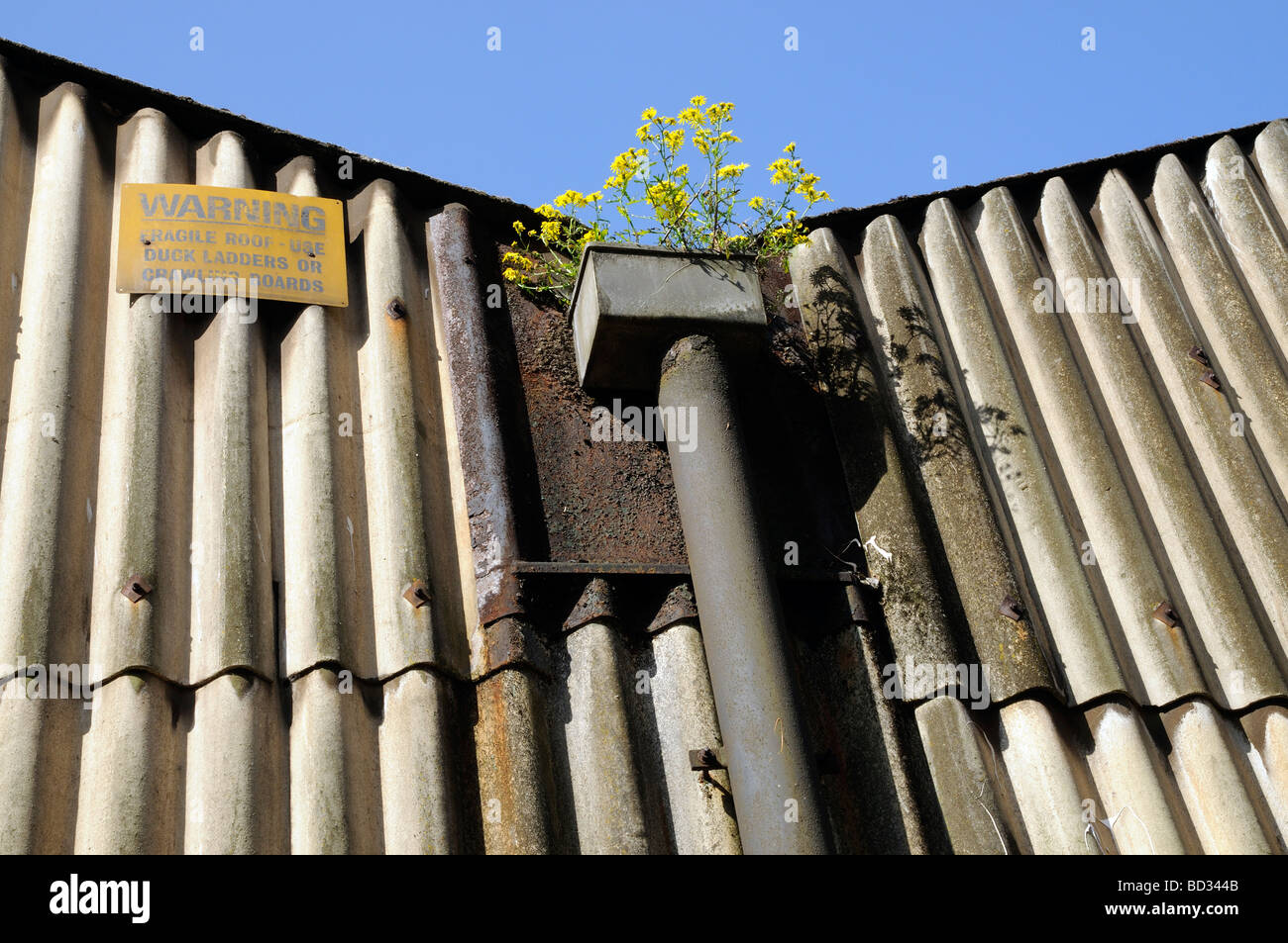 Asbestos sheet hi-res stock photography and images - Alamy