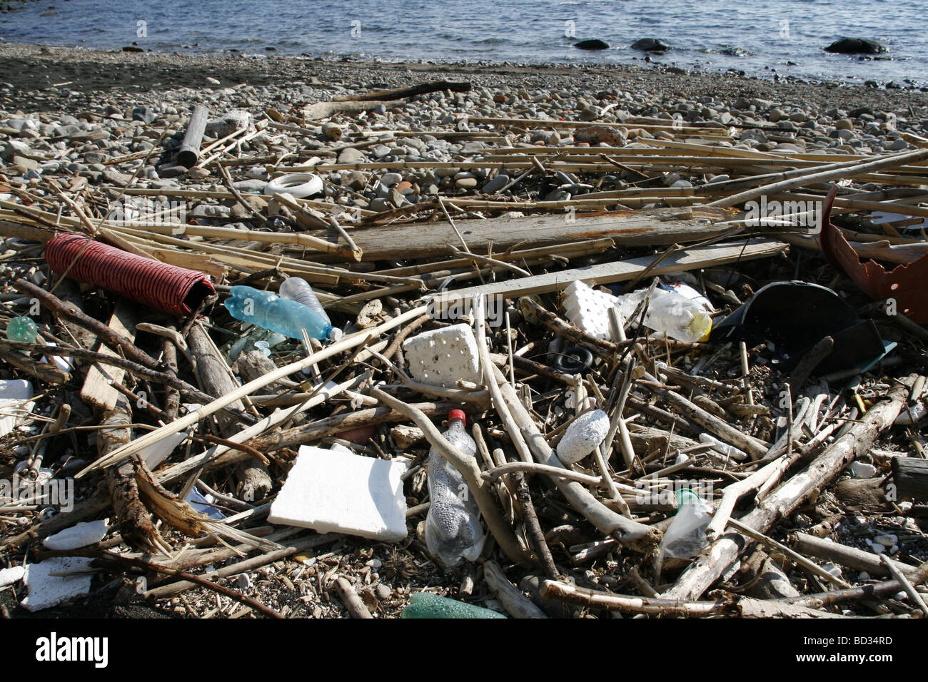waste debris washed up on sea shore Stock Photo - Alamy