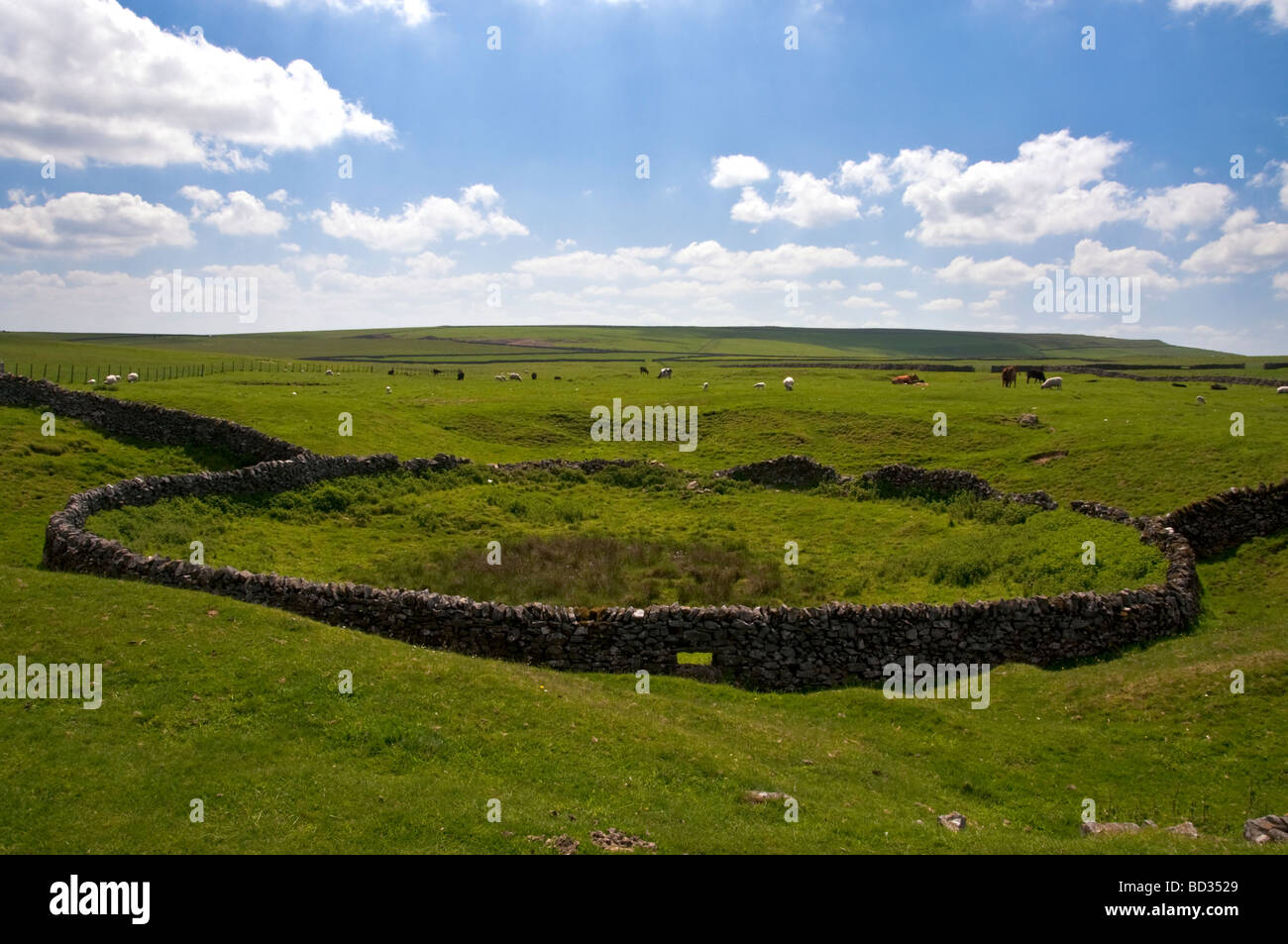 Stone sheepfold hi-res stock photography and images - Alamy