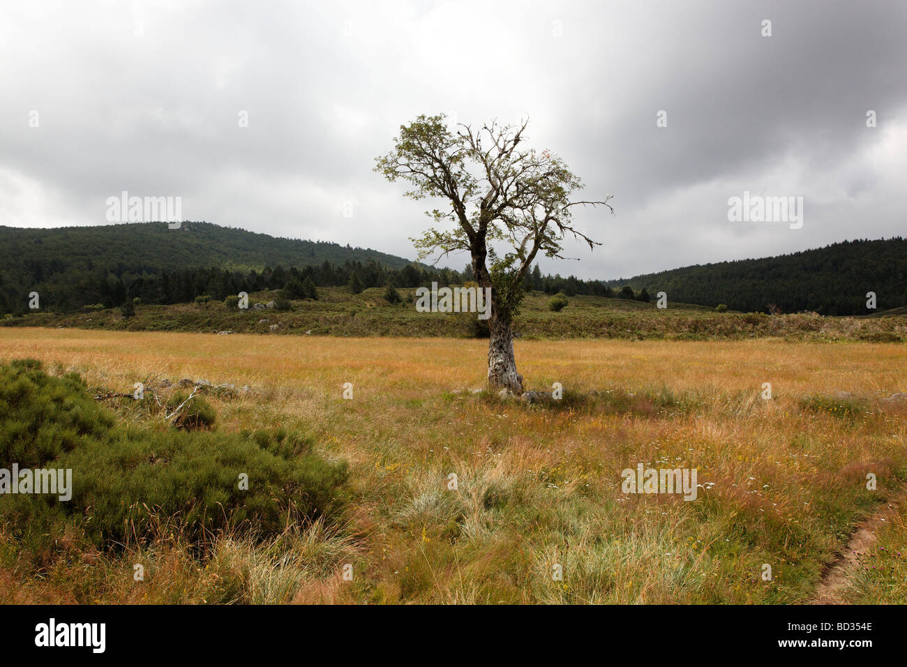 Cevennes mountain hi-res stock photography and images - Alamy