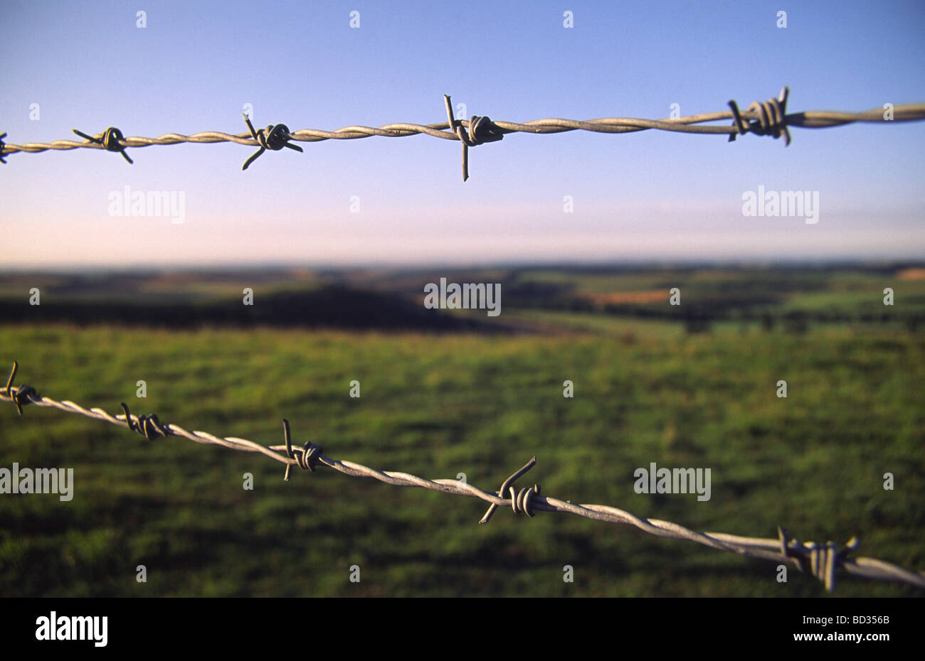 Barb wire fence Stock Photo - Alamy