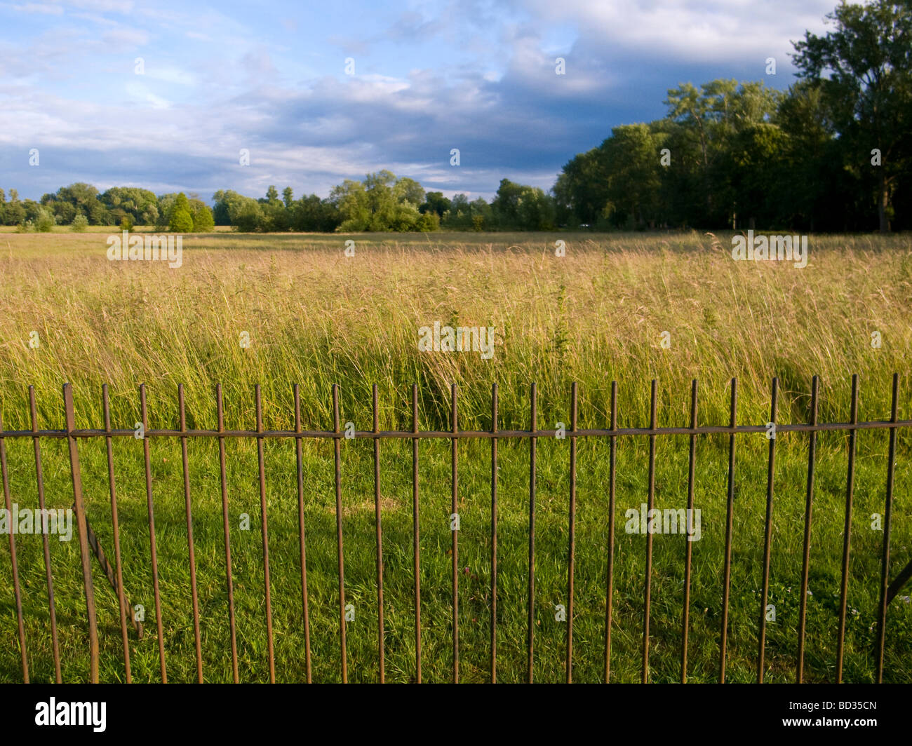 Christ Church Meadow, a famous flood-meadow, and popular walking and ...