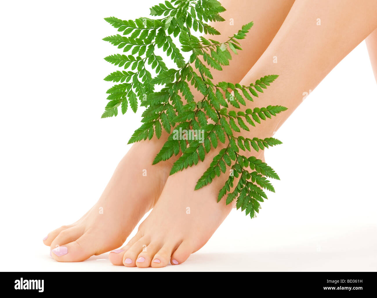 picture of female feet with green leaf over white Stock Photo - Alamy