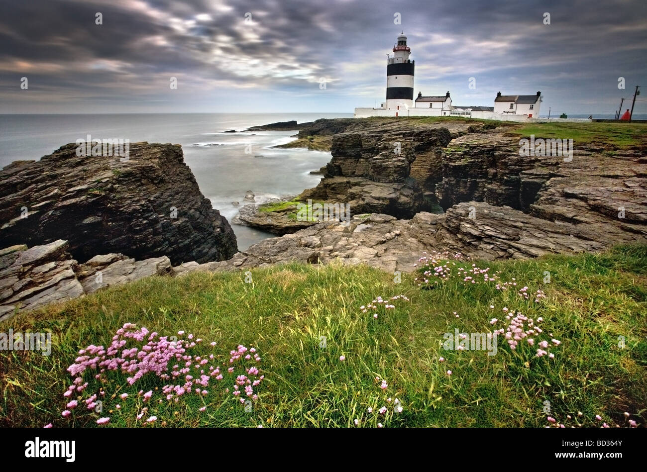 Wexford ireland hi-res stock photography and images - Alamy