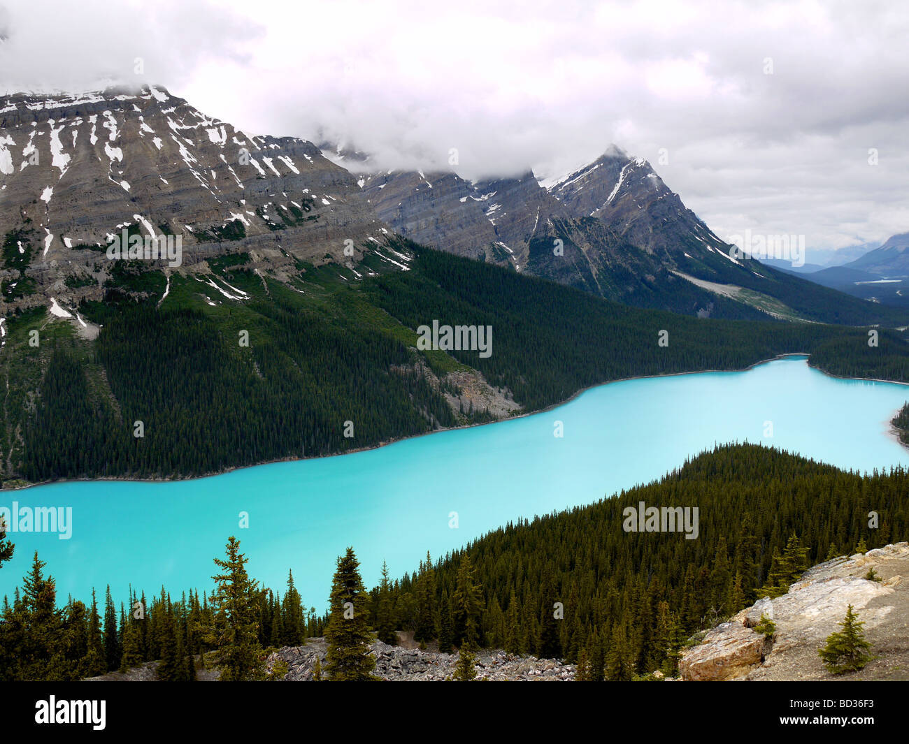 Peyto Lake a Fox head shaped lake in Banff National Park in Alberta ...