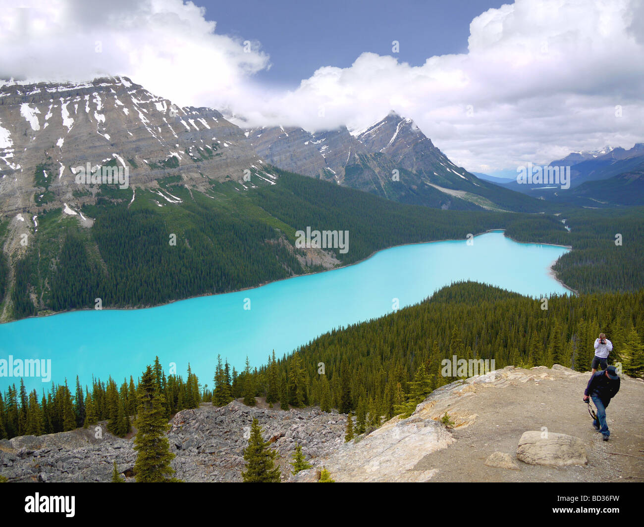 Peyto Lake a Fox head shaped lake in Banff National Park in Alberta ...