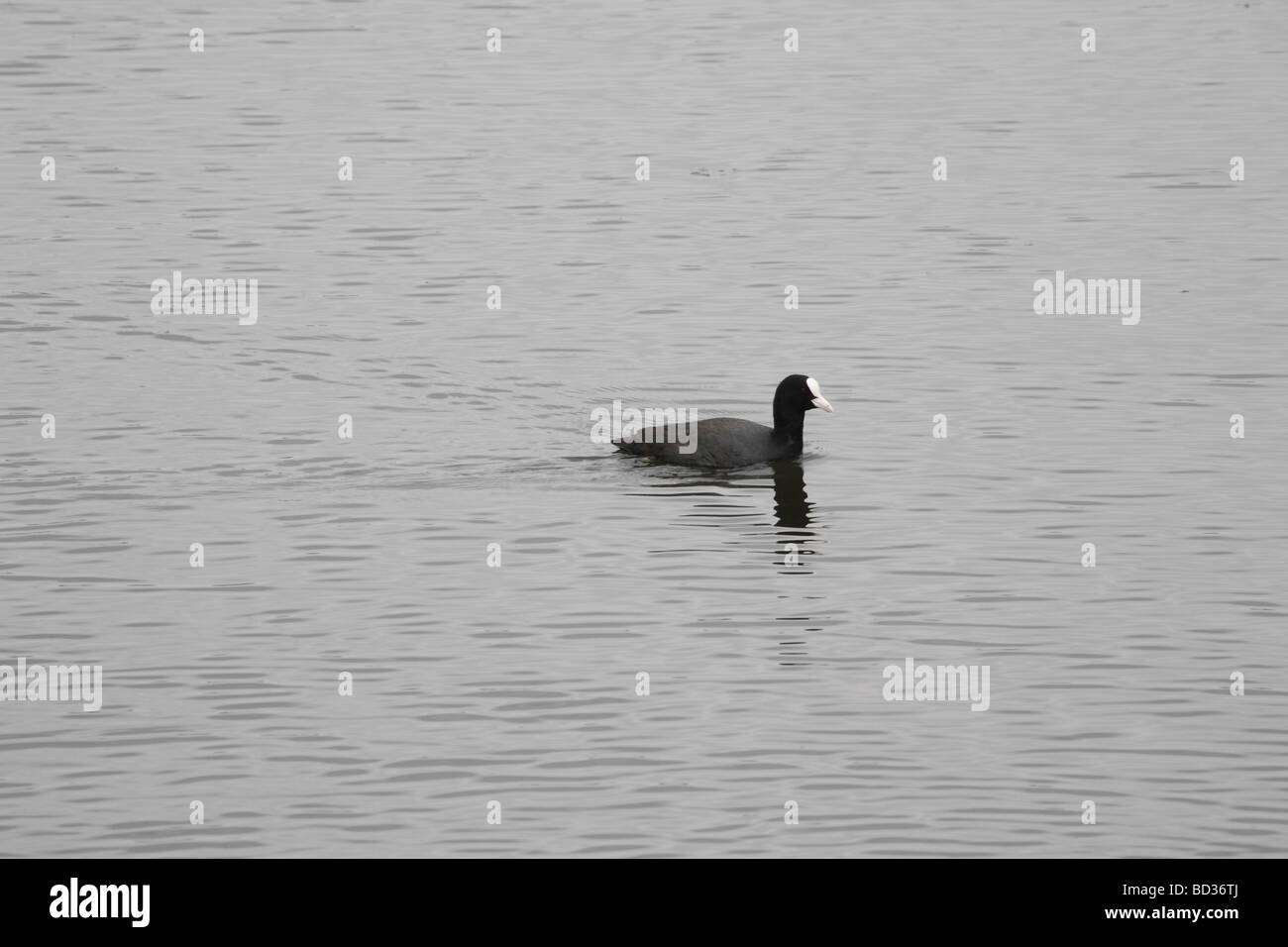 Fairburn ings nature reserve rspb hi-res stock photography and images ...