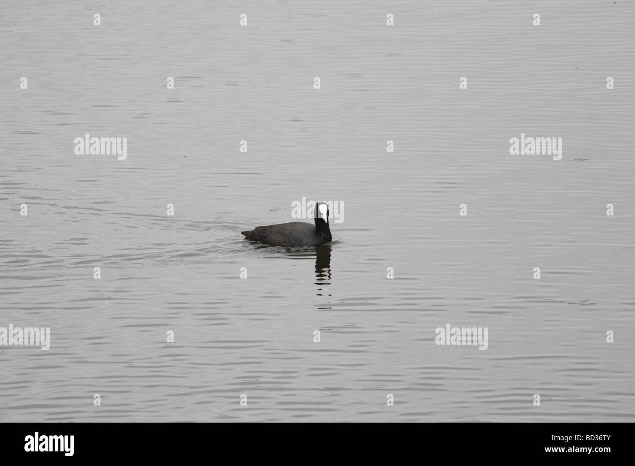 Fairburn ings nature reserve rspb hi-res stock photography and images ...