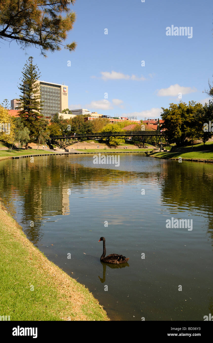 Skyline adelaide on torrens hi-res stock photography and images - Alamy