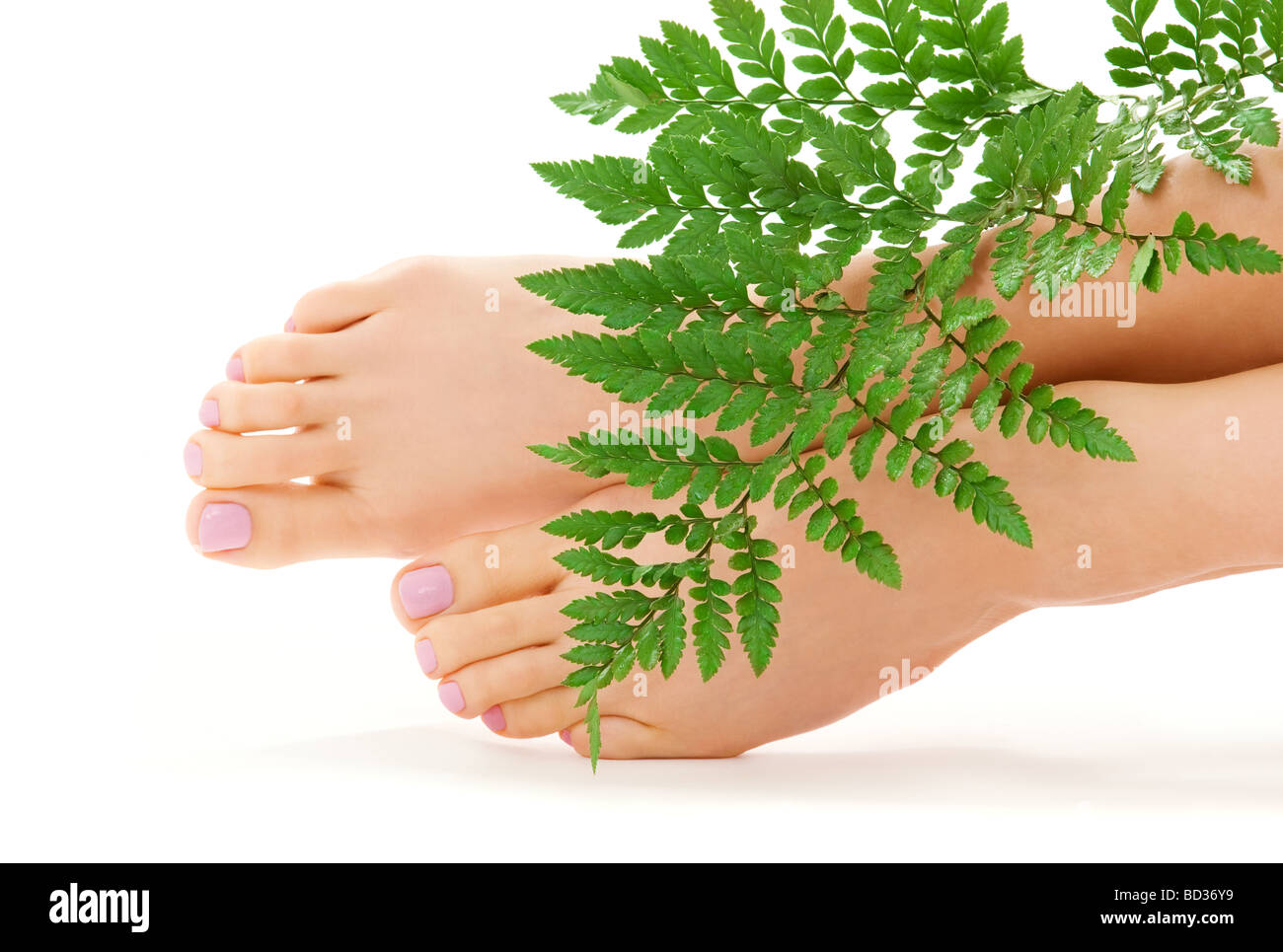 picture of female feet with green leaf over white Stock Photo - Alamy